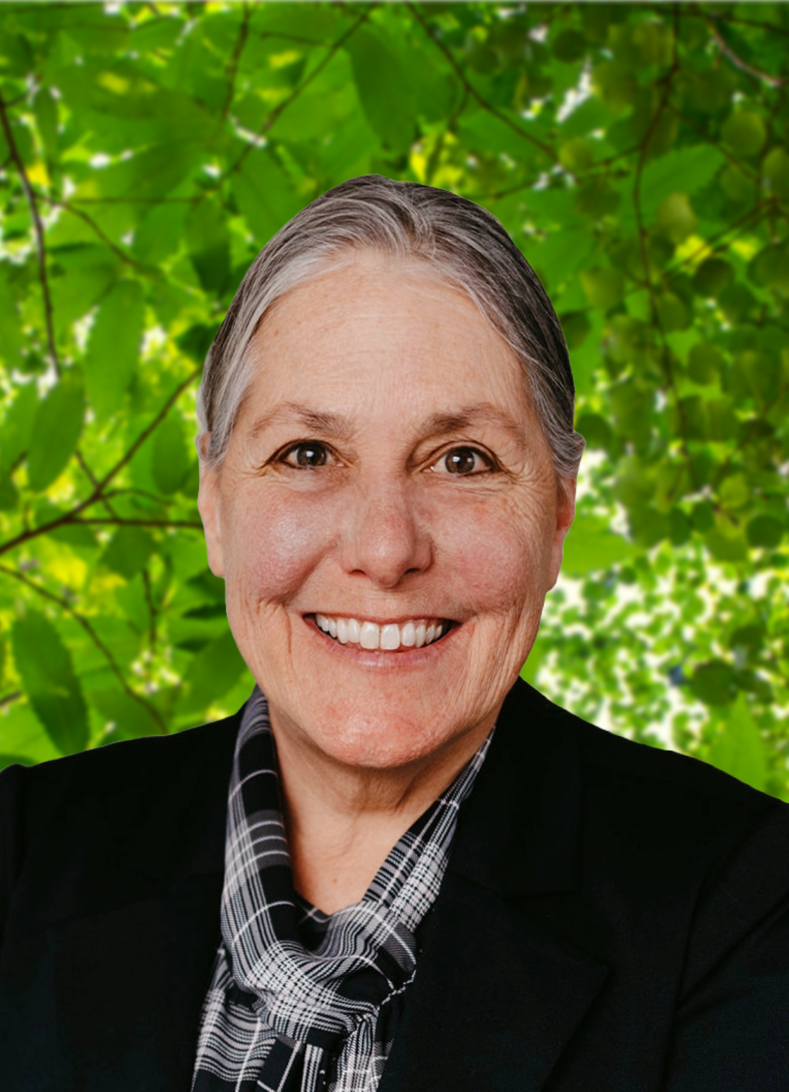 About Us - Bedrock Renewables